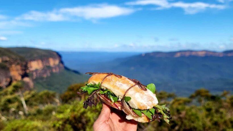 From Sydney: Blue Mountains Tour with Waterfall Walk & Lunch - Transportation and Group Size: Why It Matters