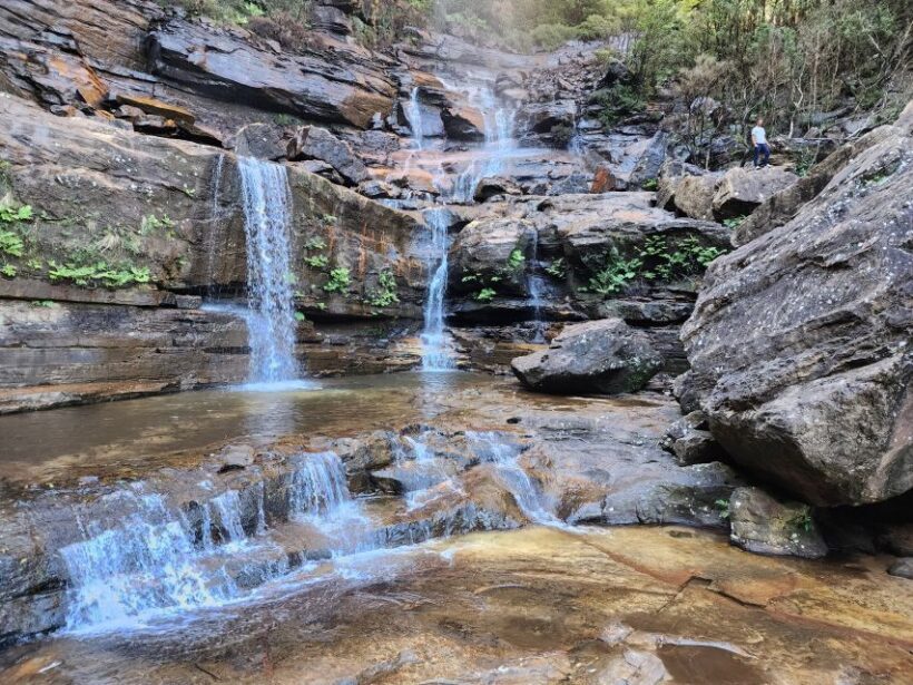 From Sydney: Blue Mountains Tour with Waterfall Walk & Lunch - Price and Value