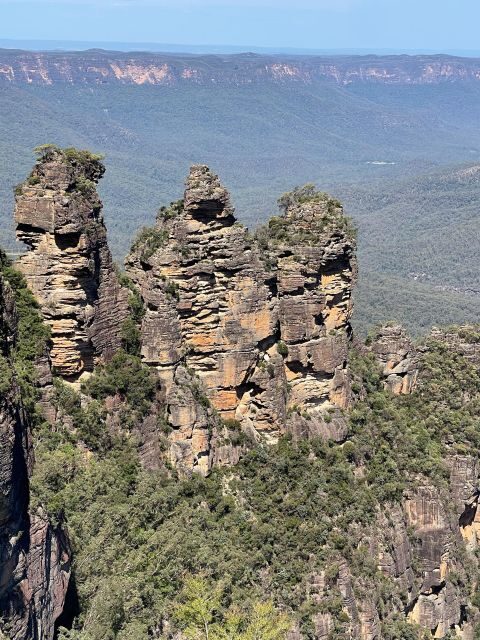 From Sydney: Blue Moutains and Featherdale Day Tour - Practical Tips for Travelers