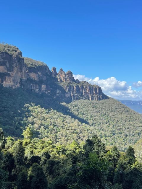 From Sydney: Blue Moutains and Featherdale Day Tour - FAQ
