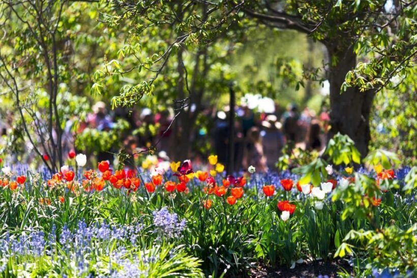 From Sydney: Canberra City Highlights and Floriade Day Tour - Authenticity and Reviews