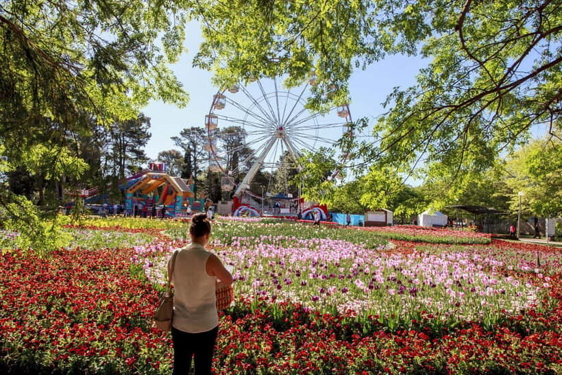 From Sydney: Canberra Floriade Festival Includes Lunch - Introduction