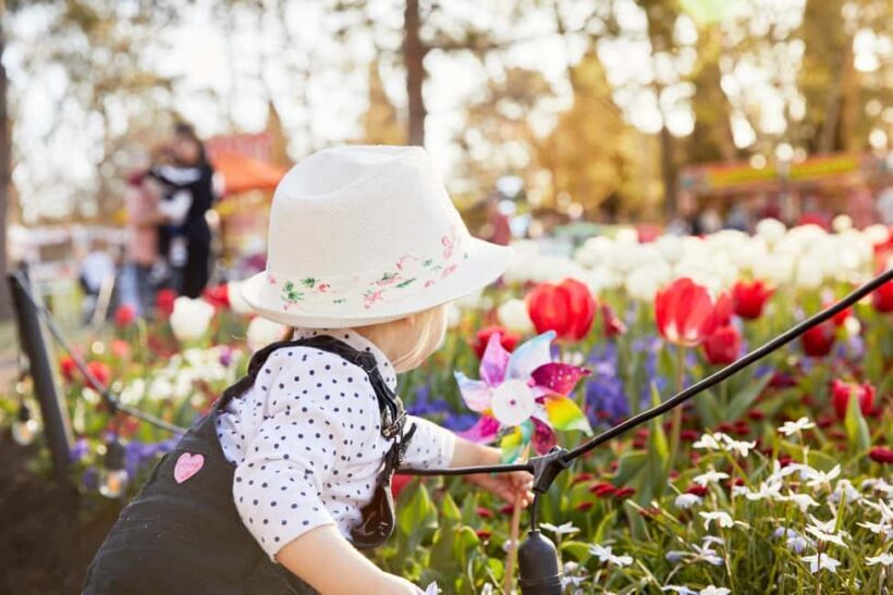 From Sydney: Canberra Floriade Festival Includes Lunch - Key Points