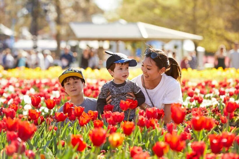 From Sydney: Canberra Floriade Festival Includes Lunch - Who Is This Tour Best For?