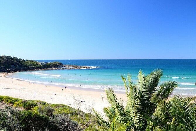 From Sydney: Full Day Tour of Golden Beaches and Ocean Vistas - What Makes This Tour Stand Out