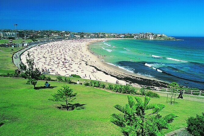 From Sydney: Full Day Tour of Golden Beaches and Ocean Vistas - Who Should Consider This Tour?