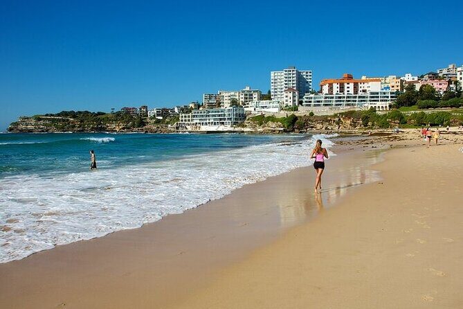 From Sydney: Full Day Tour of Golden Beaches and Ocean Vistas - The Sum Up