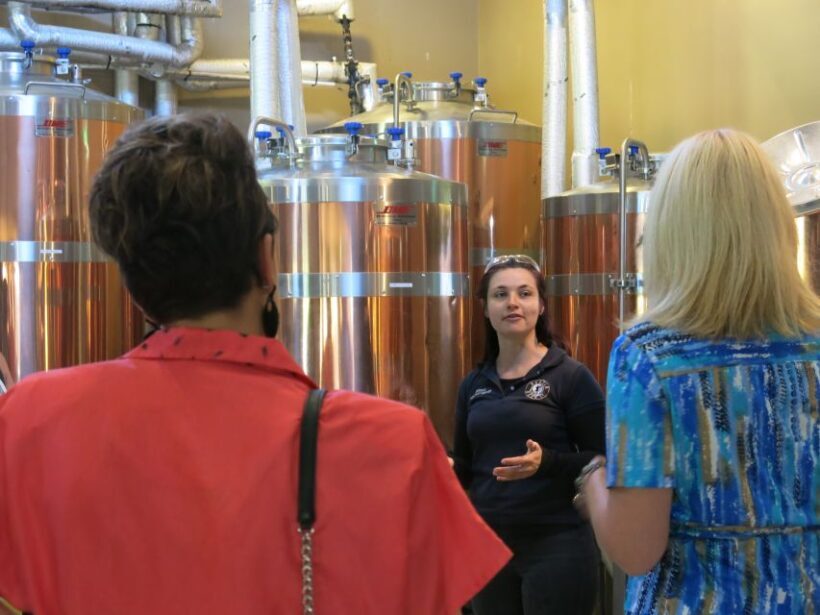 From Sydney: Hunter Valley Multi-Brewery Tour with Lunch - Who Will Love This Tour
