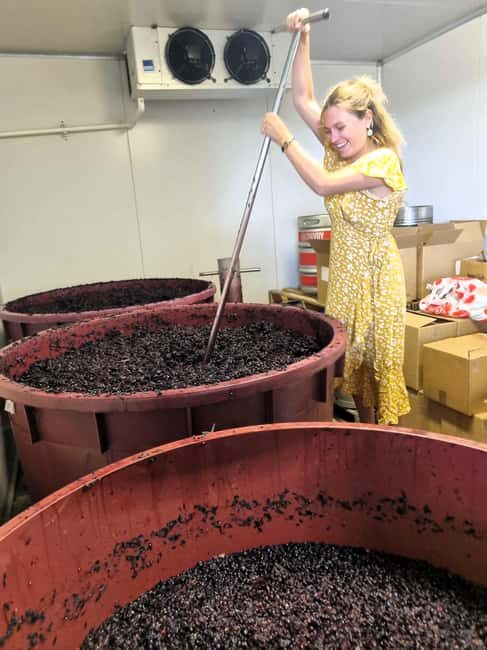 From Sydney: Hunter Valley Wine, Gin & Food Tastings Tour - What You Can Expect on the Hunter Valley Tour
