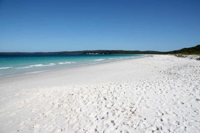 From Sydney: Jervis Bay Tour with Beach, Koalas & Kangaroos - Key Points