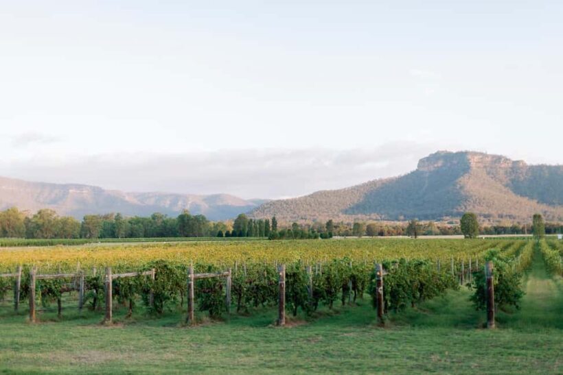 From Sydney: Luxury Hunter Valley Wine Tour with Fine Dining - Who Should Consider This Tour?