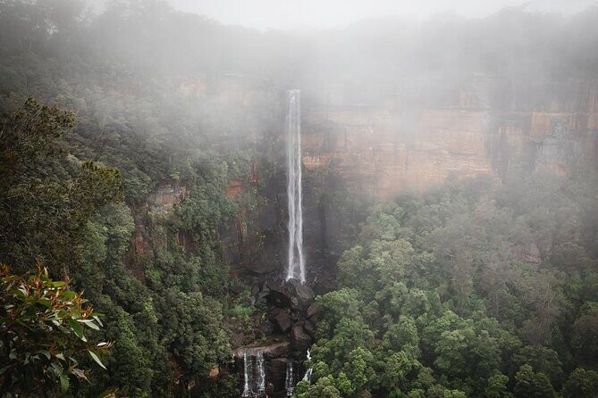 From Sydney Private Tour of Waterfalls Wineries and Wildlife - An In-Depth Look at the Tour Experience