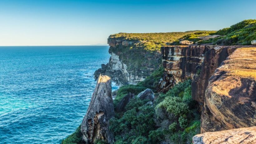 From Sydney: Royal National Park Private Tour - Key Points