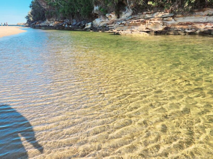 From Sydney: Royal National Park, Wollongong, and Kiama Tour - An Overview of the Tour