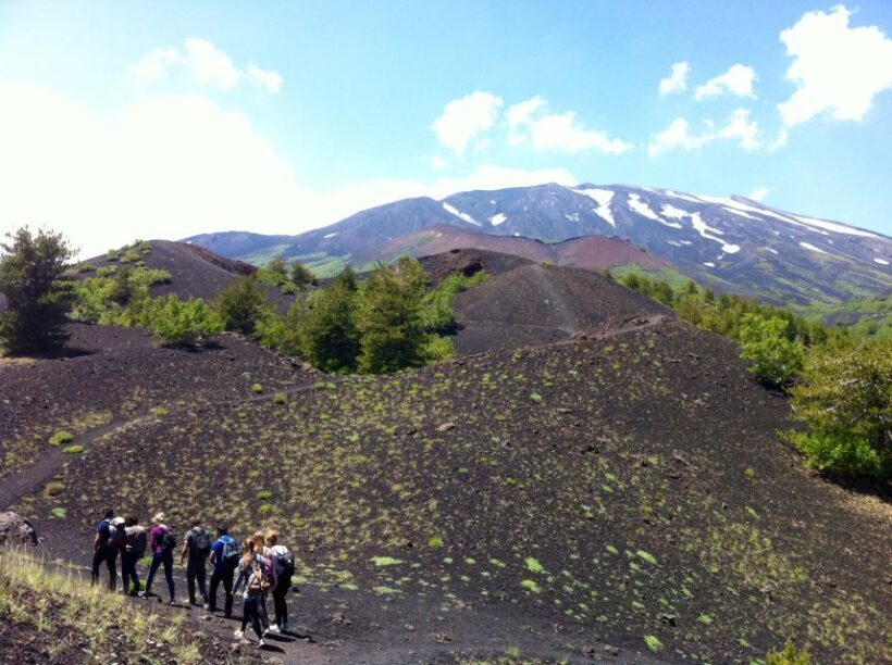 From Syracuse: Etna Tour with Light Lunch and Wine Tasting - The Itinerary: What to Expect on Your Day Trip