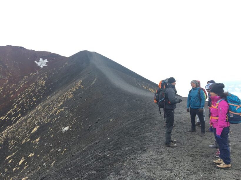 From Syracuse: Etna Tour with Light Lunch and Wine Tasting - Who Should Consider This Tour?