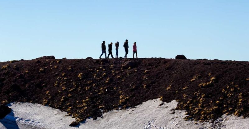 From Syracuse: Etna Volcano & Zafferana Etnea Private Tour - Who Should Book This Tour?