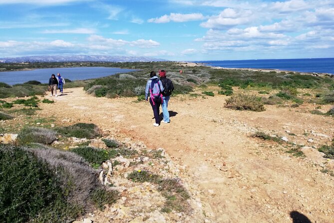 From Syracuse: Vendicari Natural Reserve - Birdwatching in the Vendicari Wetlands