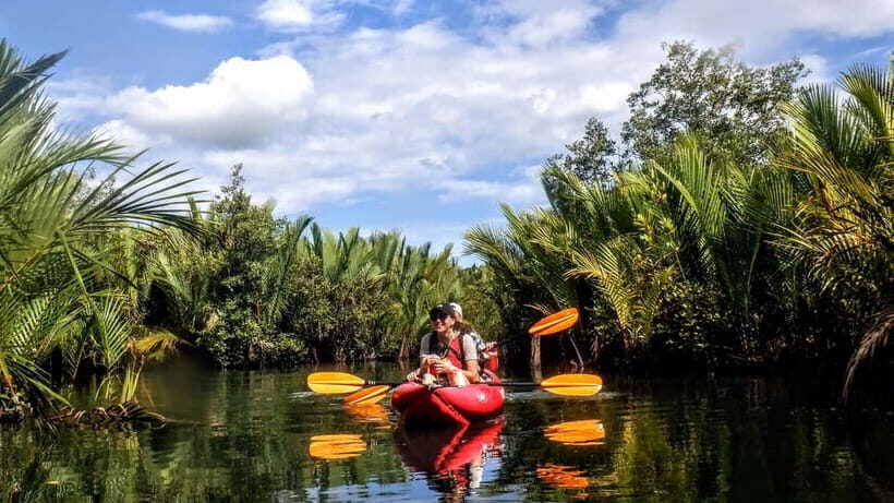 From Tagbilaran City/Panglao Island: Bohol Mangrove Kayaking - Key Points