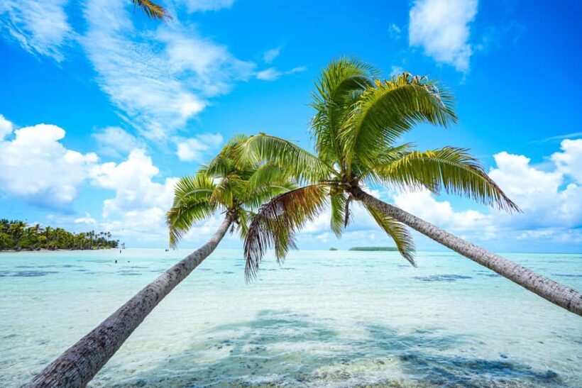 From Tahiti: Tetiaroa Island Tour by Sailing Catamaran - Returning with Sweet Memories