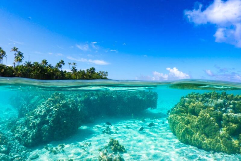 From Tahiti: Tetiaroa Island Tour by Sailing Catamaran - Key Points