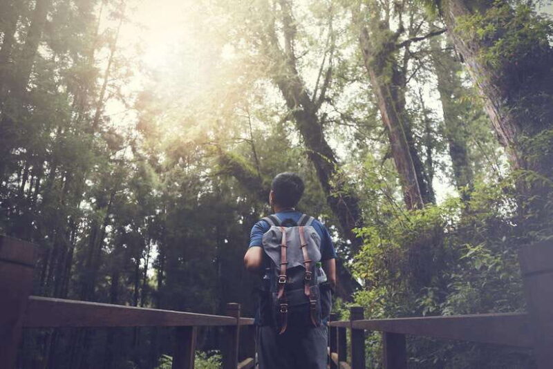 From Taipei City: 3-Day Sun Moon Lake & Alishan Private Tour - Key Points