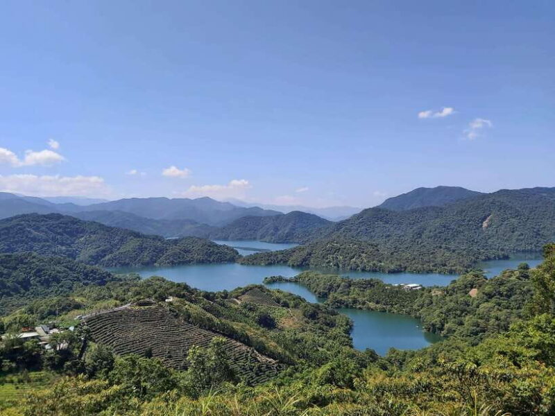 From Taipei: Pinglin Tea Culture and Maokong Guided Day Tour - What to Expect: Practical Details