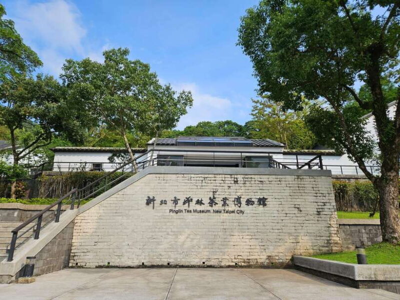 From Taipei: Pinglin Tea Culture and Maokong Guided Day Tour - The Verdict: Who Will Love This Tour?