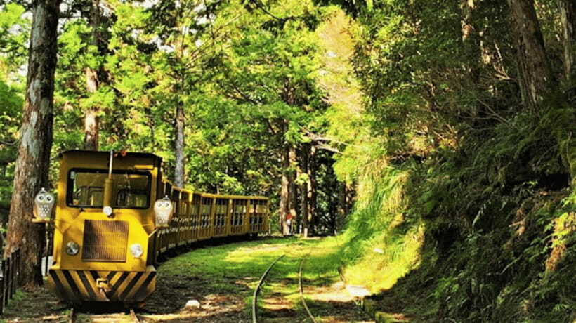 From Taipei: Taipingshan & Jiuzhize Hot Spring Private Tour - Who Is This Tour Best For?