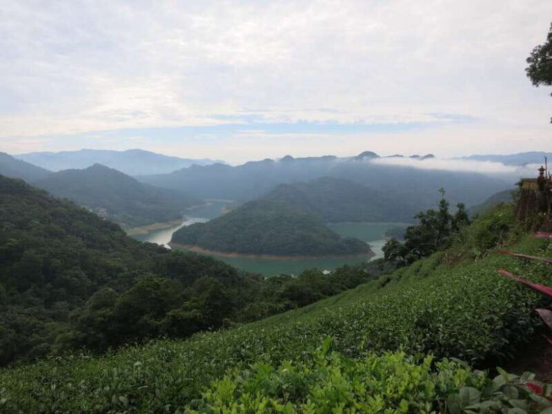 From Taipei: Thousand Island Lake and Pinglin Tea Plantation - Transportation, Group Size, and Price