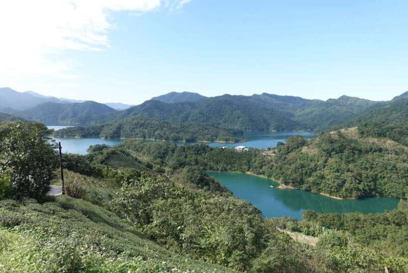 From Taipei: Thousand Island Lake and Pinglin Tea Plantation - Who Should Consider This Tour?