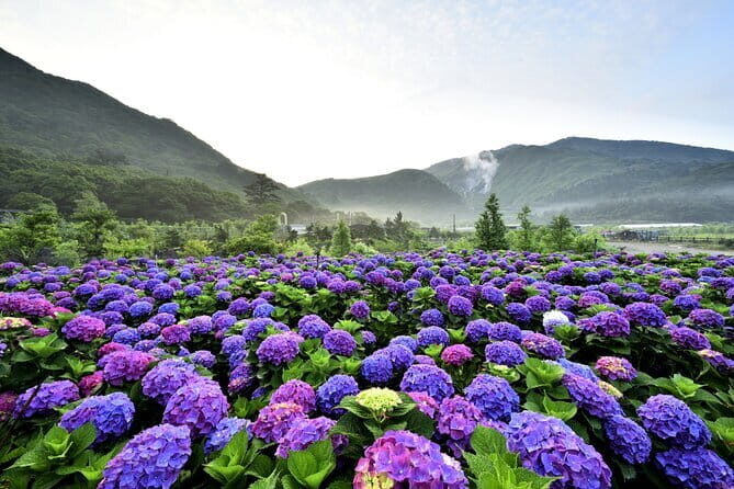 From Taipei: Yangmingshan, Yehliu, Jiufen & Shifen Private Tour - FAQ
