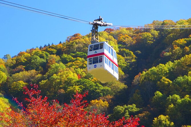 From Takayama: Alpine Splendor - Shinhotaka Ropeway and Kamikochi - Highlights of Shinhotaka Ropeway