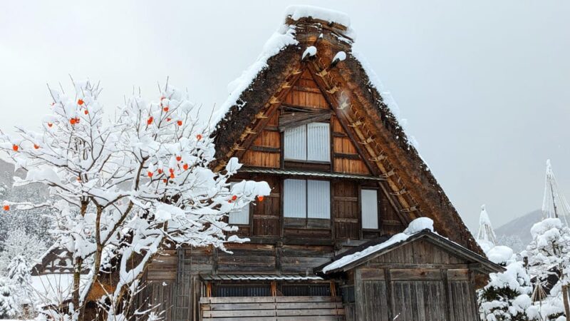 From Takayama: Guided Day Trip to Takayama and Shirakawa-go - Key Points