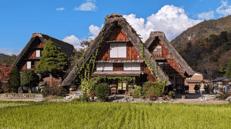 From Takayama: Guided Day Trip to Takayama and Shirakawa-go - Included Features