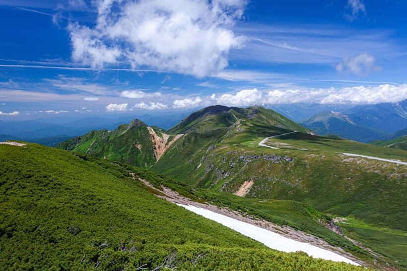 From Takayama: Mt. Norikura Alpine Flowers & Panoramic Peaks - Frequently Asked Questions