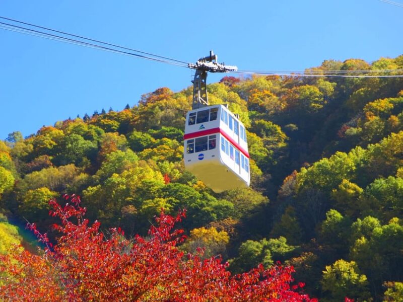 From Takayama: Shinhotaka Ropeway and Kamikochi Tour - Key Points