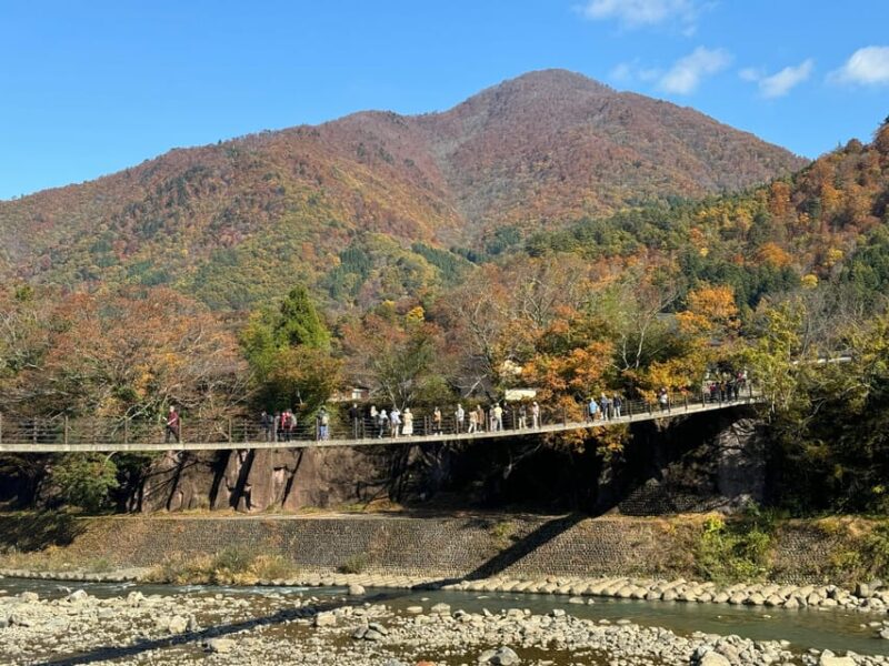 From Takayama: Shirakawa-Go Day Trip With Bus Tickets - Itinerary Highlights