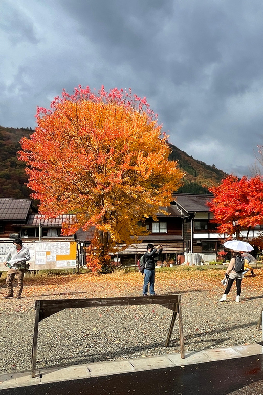 From Takayama: Shirakawago UNESCO World Heritage Site Tour - Customer Reviews