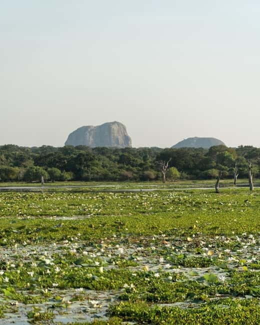 From Tangalle / Hiriketiya - Yala Safari - Drop-off : Ella - FAQ