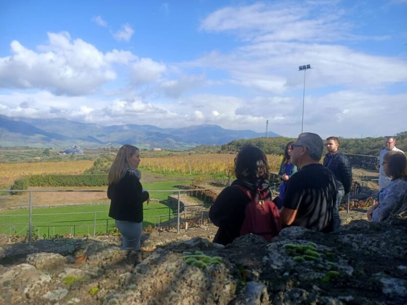 From Taormina: Etna Wineries Small Group Tour - A Deep Dive into the Experience