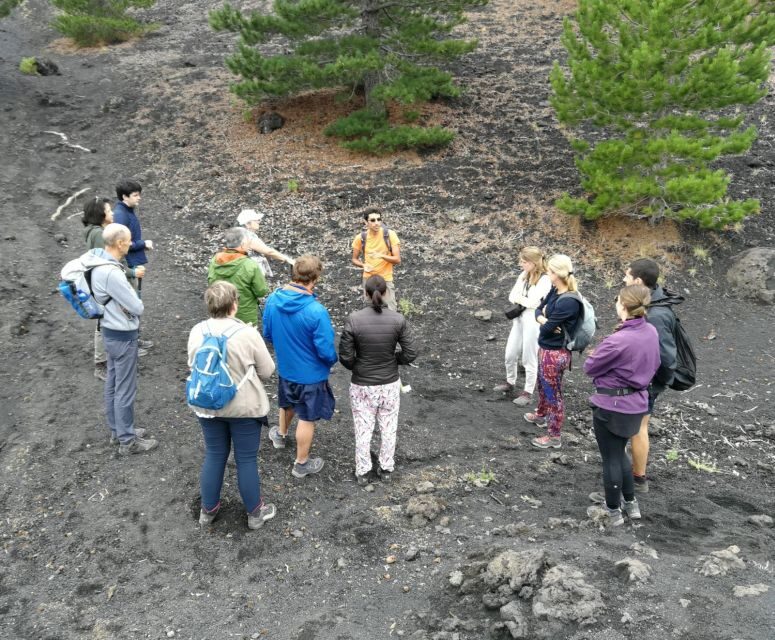 From Taormina: Full-Day Etna, Wine & Alcantara Canyons Tour - The Hiking and Crater Exploration