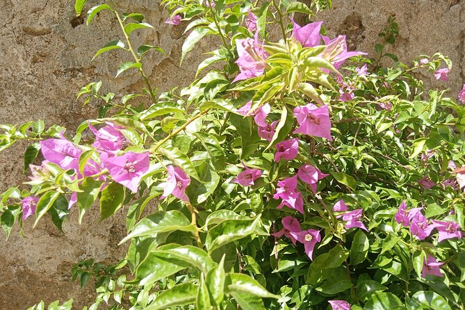 From Taormina Godfather Private Tour Forza D'Agrò and Savoca - Introduction