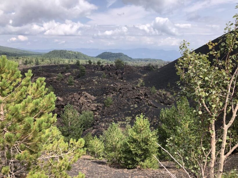 From Taormina: Half-Day Mount Etna Morning Trek - Hiking Among Extinct Craters