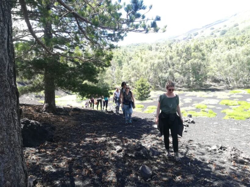 From Taormina: Half-Day Mount Etna Morning Trek - The Food and Wine Experience