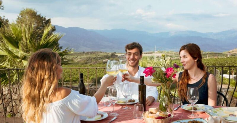 From Taormina: Mount Etna Food and Wine Tasting Tour - Analyzing the Value