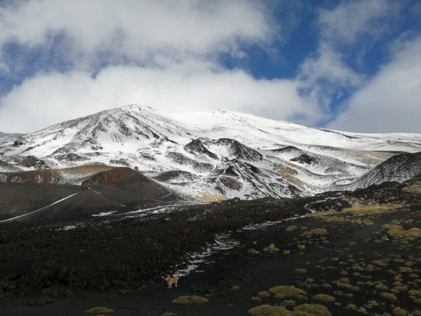 From Taormina or Catania: Private Full-Day Mount Etna Hike - Final Thoughts: Is This Tour Right for You?