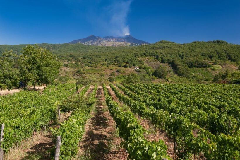 From Taormina: Private 3 Etna Wineries with Food & Wine - FAQ: Your Questions Answered