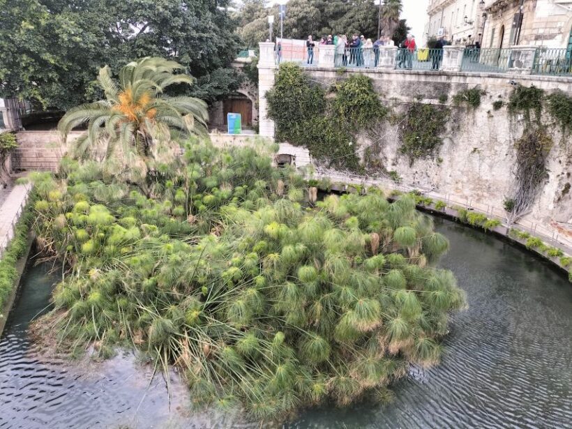 From Taormina: Siracusa & Noto Small-Group Tour - Exploring Sicily’s Gems: From Taormina to Syracuse & Noto