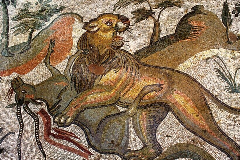 From Taormina: Valley of The Temples & Piazza Armerina Tour - Authentic Traveler Insights